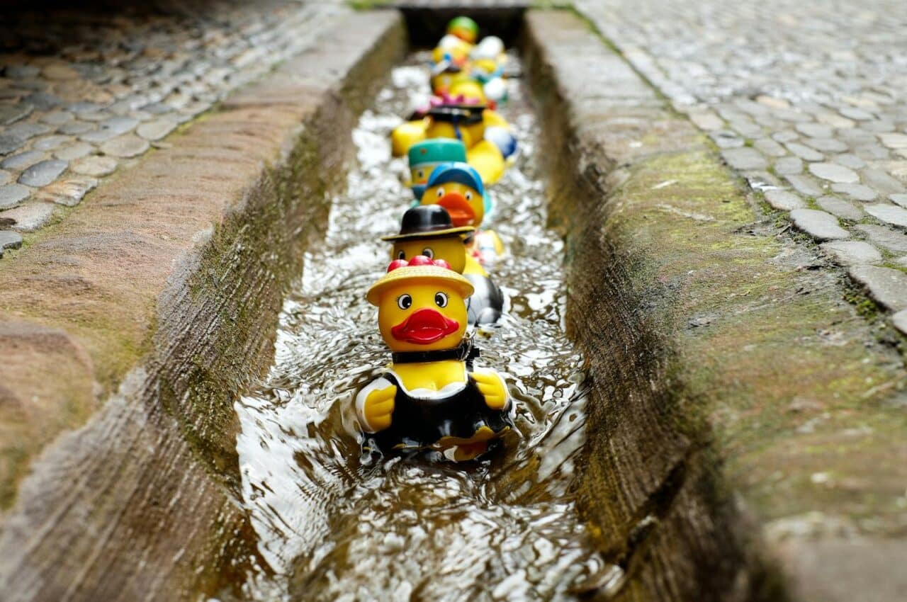 What Is a Water Line? Everything Homeowners and Business Owners Need to ...